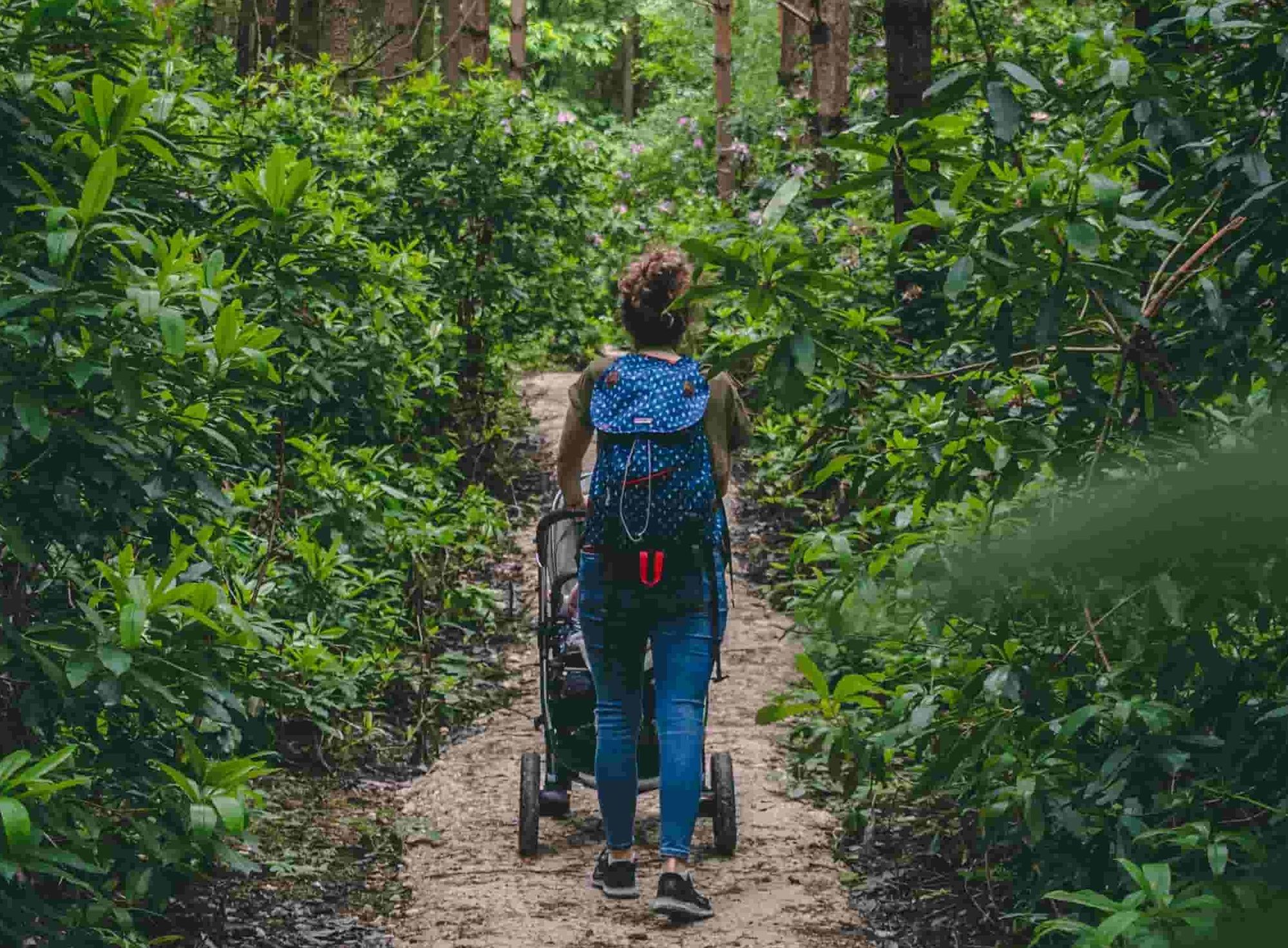 Explore England’s top accessible walks